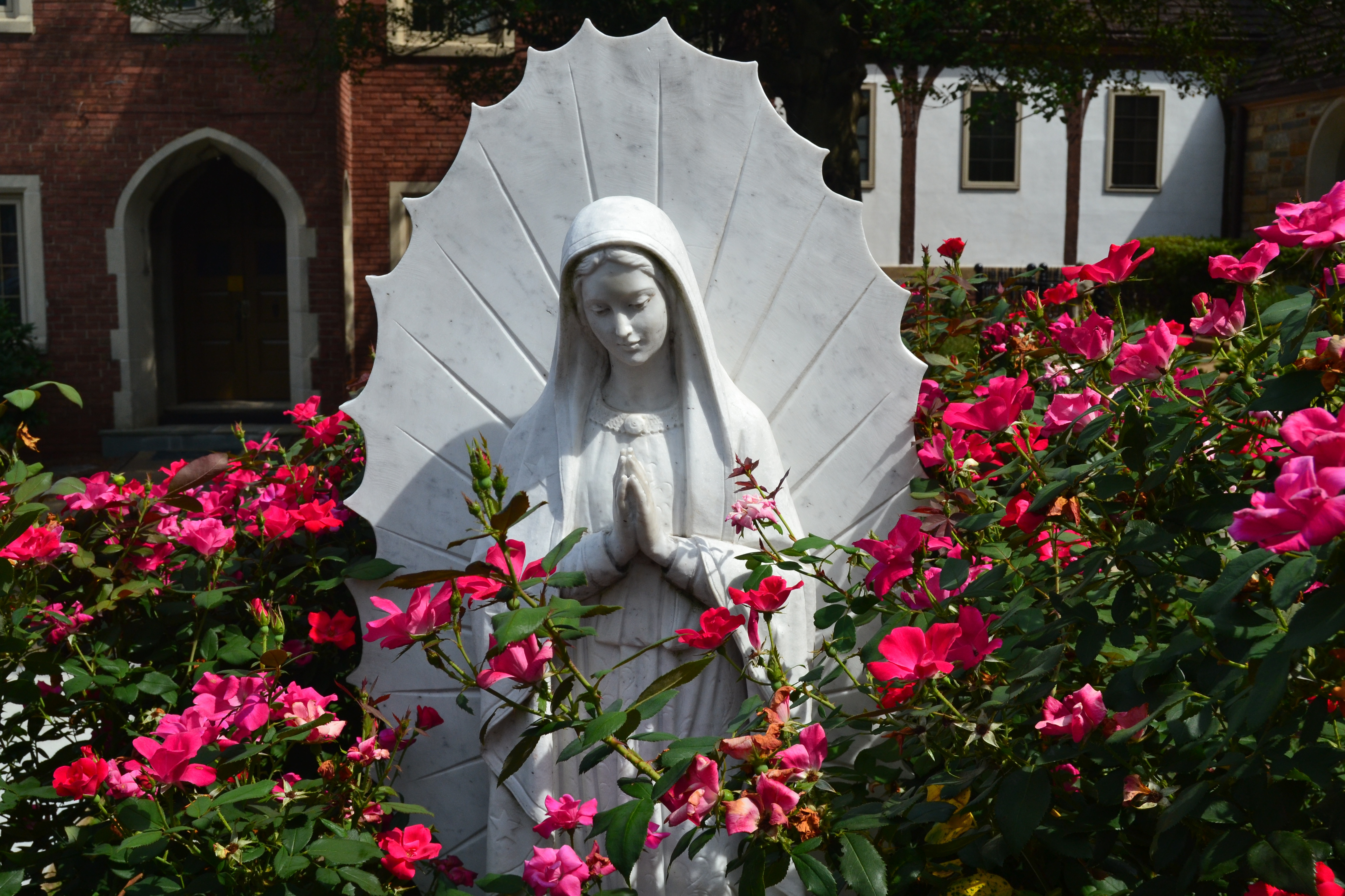 Legion of Mary – Saint Rita Catholic Church